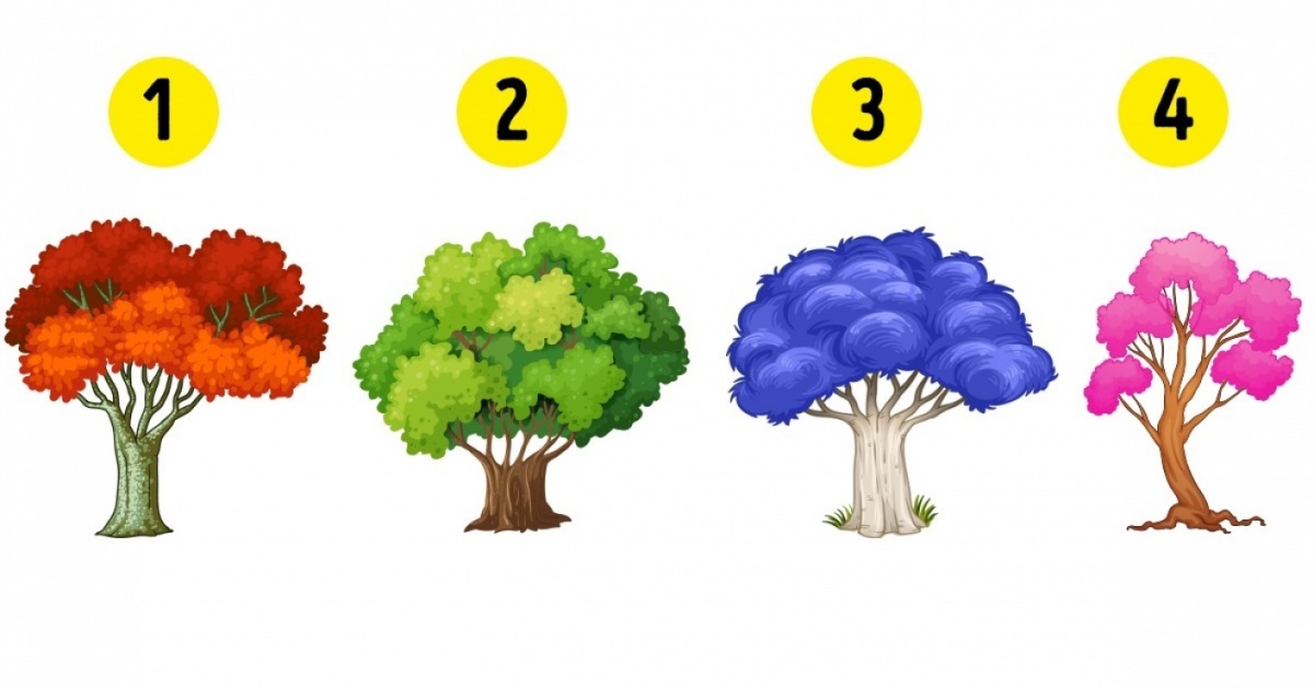 TEST: Alege un COPAC și află ce te așteaptă în noul an 2019
