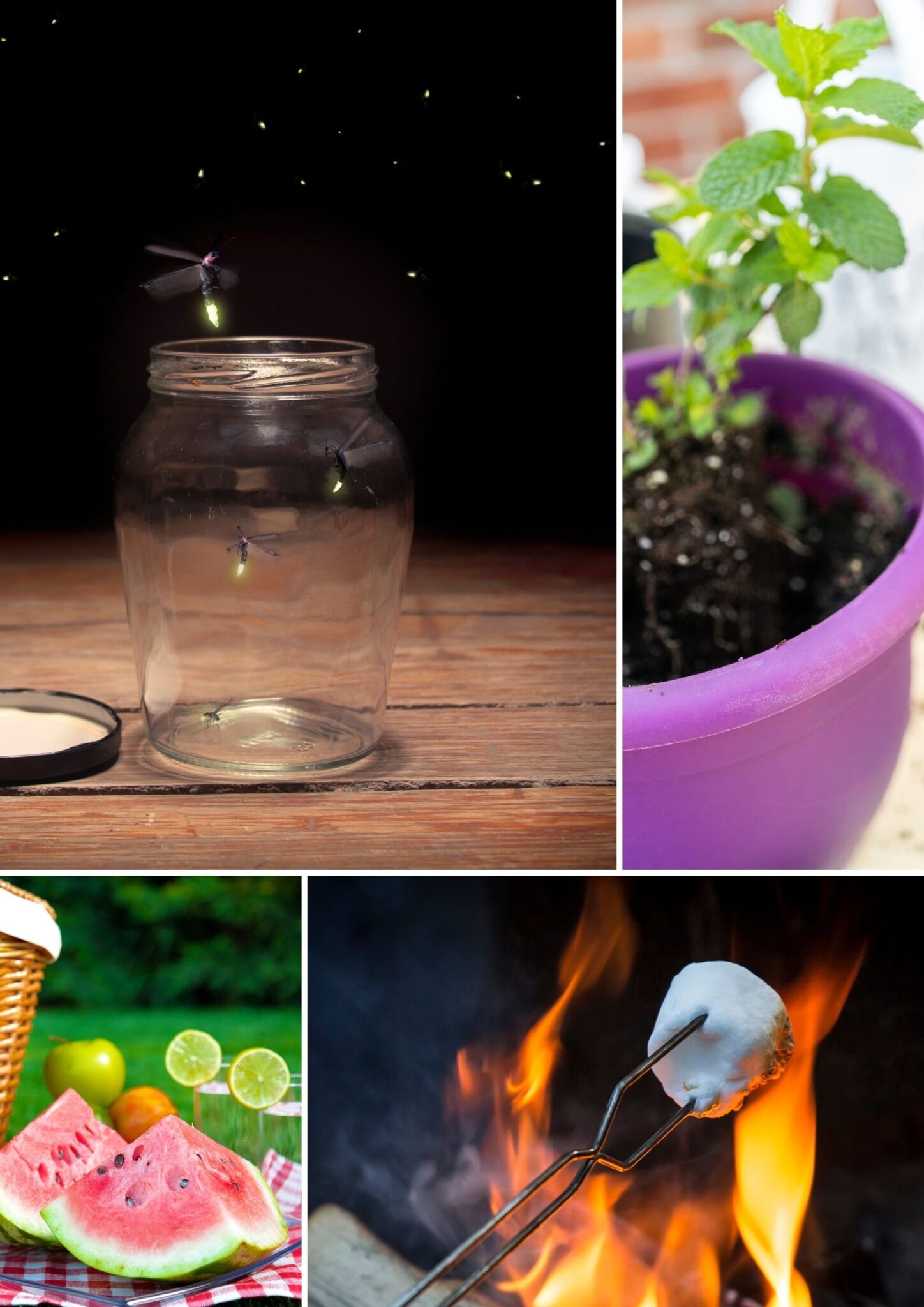 101 activități pentru copii în vacanța de vară